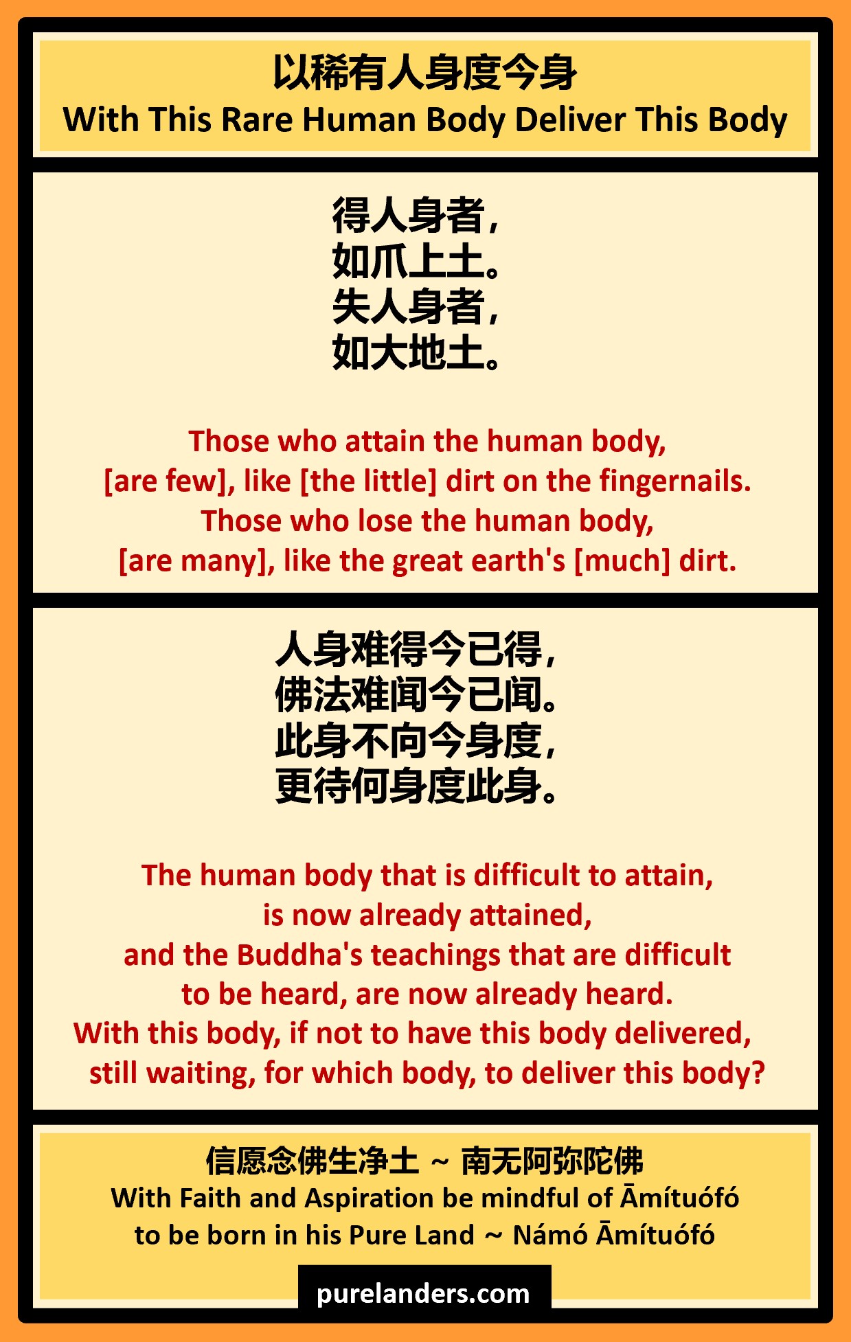 With This Rare Human Body Deliver This Body 以稀有人身度今身 – Purelanders